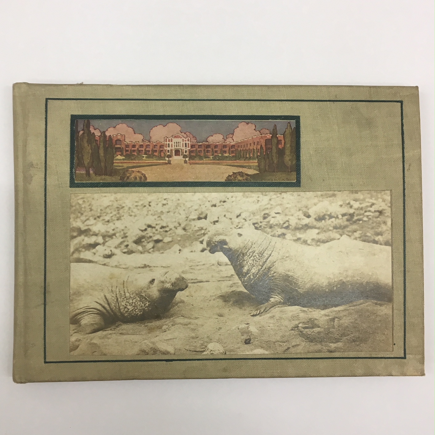 Charles Haskins Townsend’s 159th Birthday! | WCS Archives Blog