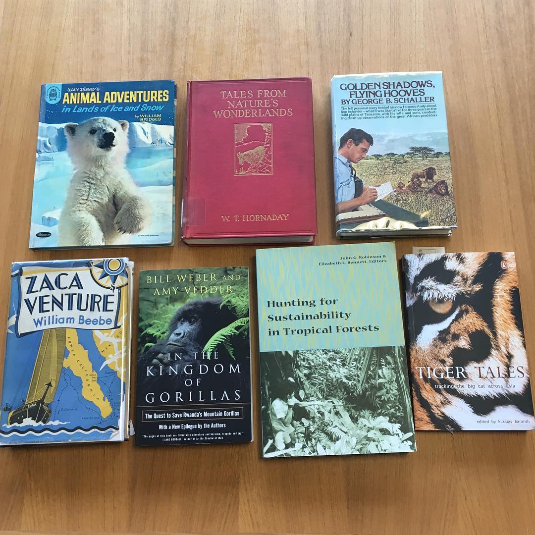 National Library Week 2019 [Instagram] | WCS Archives Blog