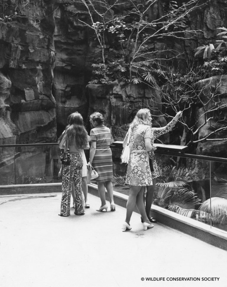 WCS Archives Blog | Wildlife Conservation Society Archives