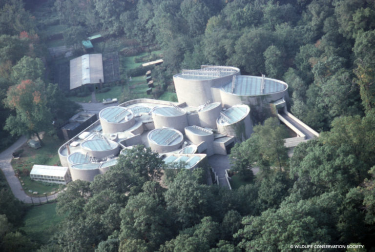 WCS Archives Blog | Wildlife Conservation Society Archives