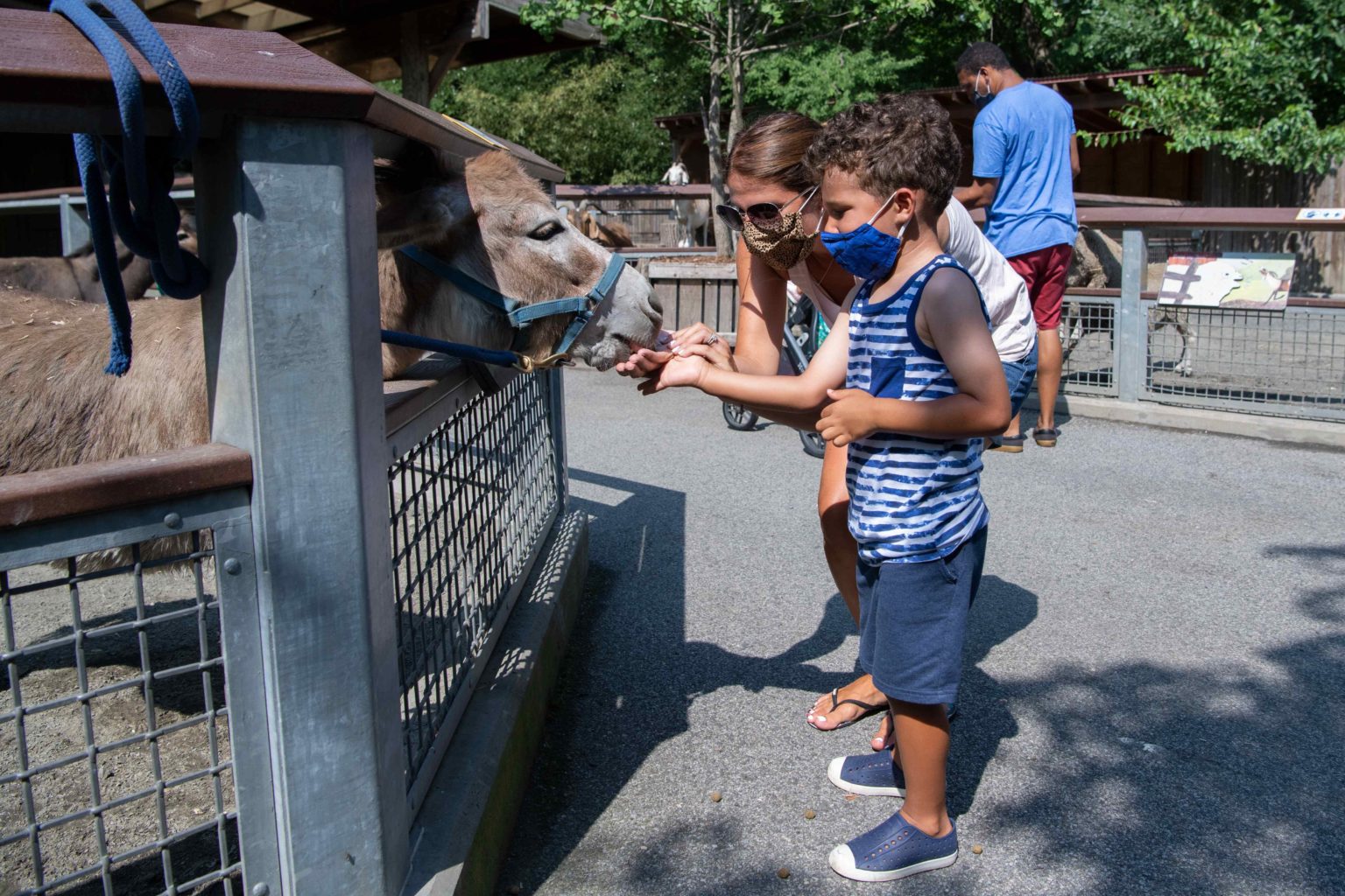 The Children’s Zoo in a Changing World | WCS Archives Blog