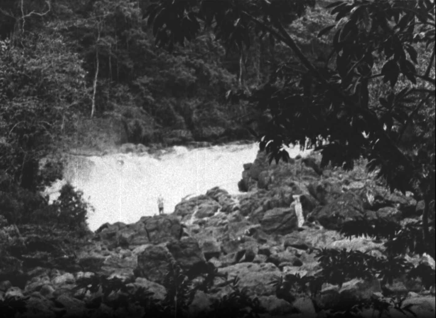 The Early Films from Women Biologists of the Department of Tropical ...